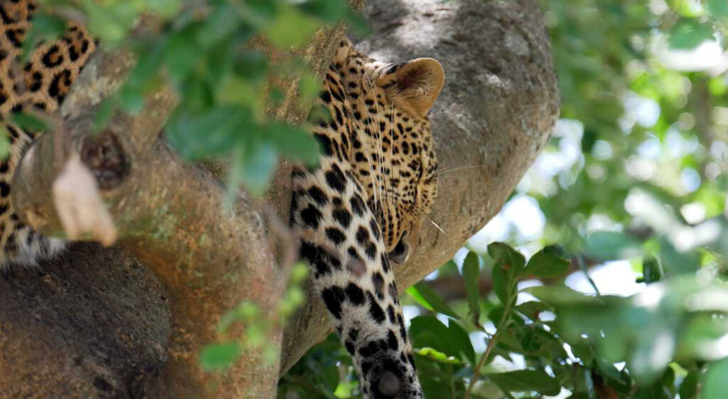 Andrea Gunter - Kenya Experience