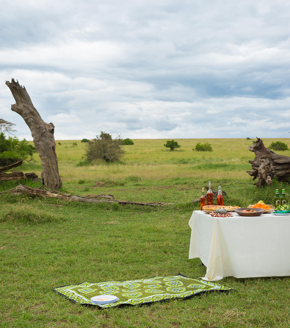 Solio Game Reserve Safaris & Travel Guide