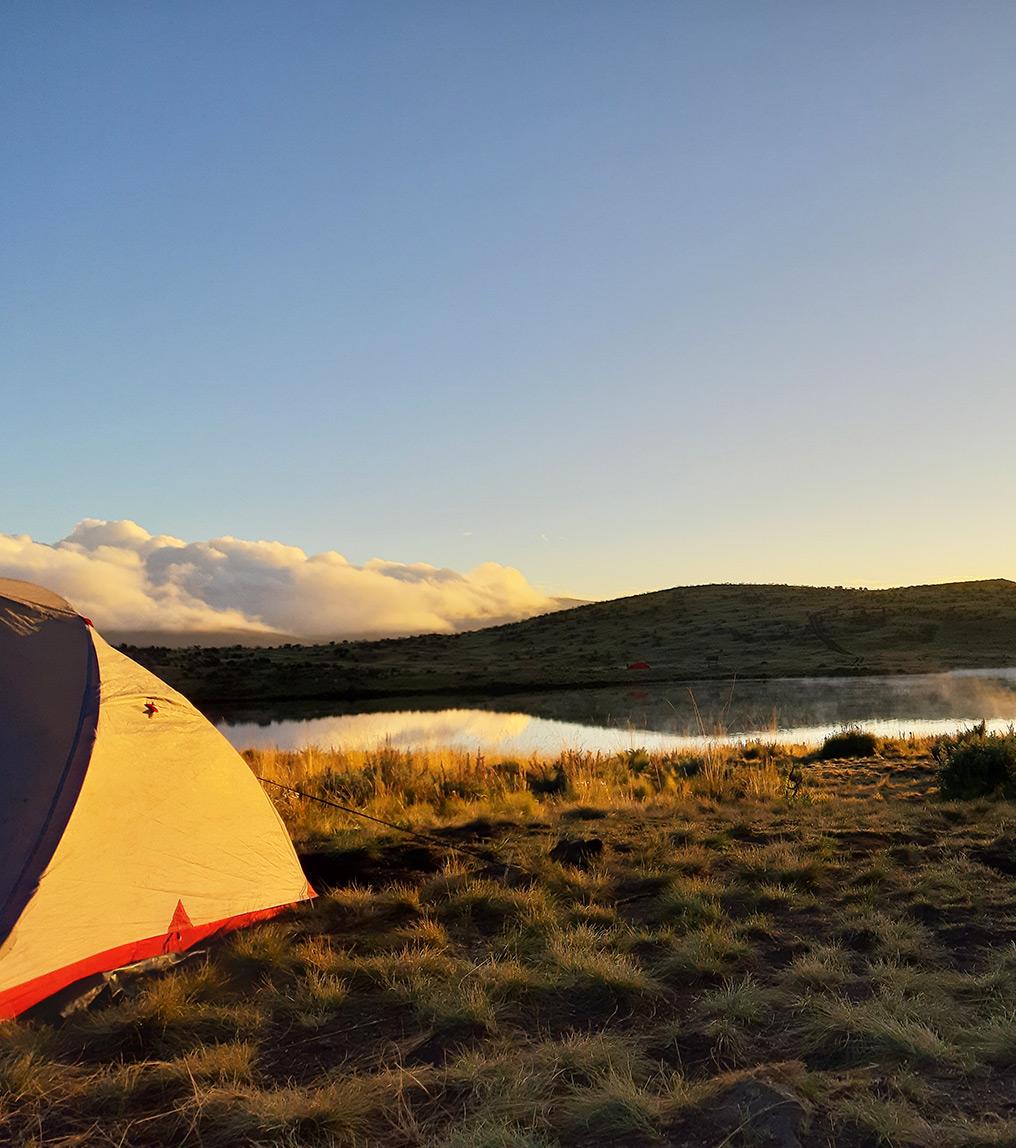 Mount Kenya National Park Safaris & Travel Guide