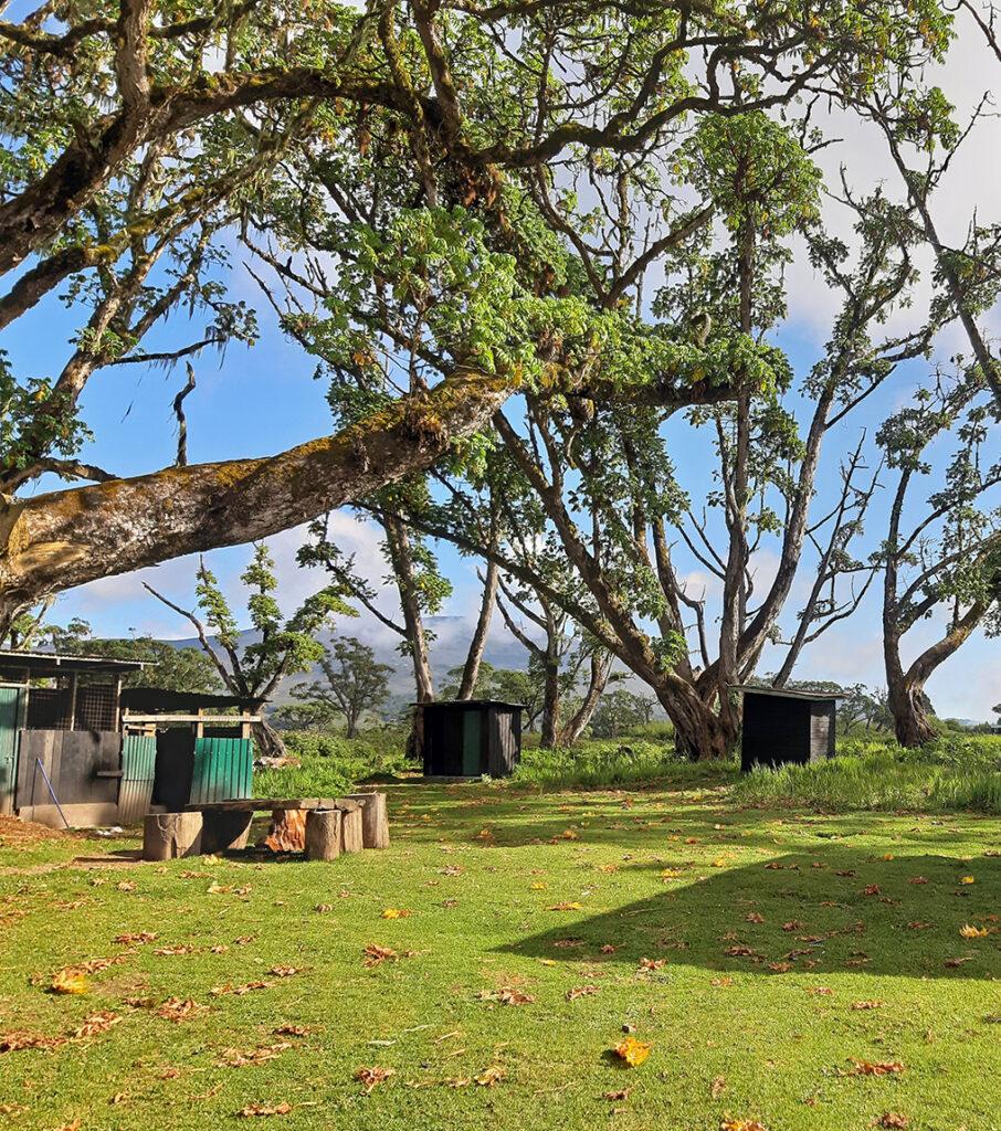 Mount Kenya National Park Safaris & Travel Guide