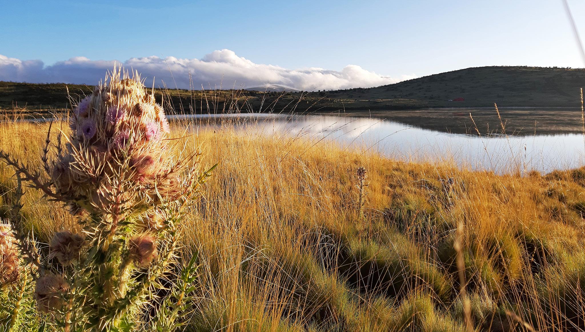 Mount Kenya National Park Safaris & Travel Guide
