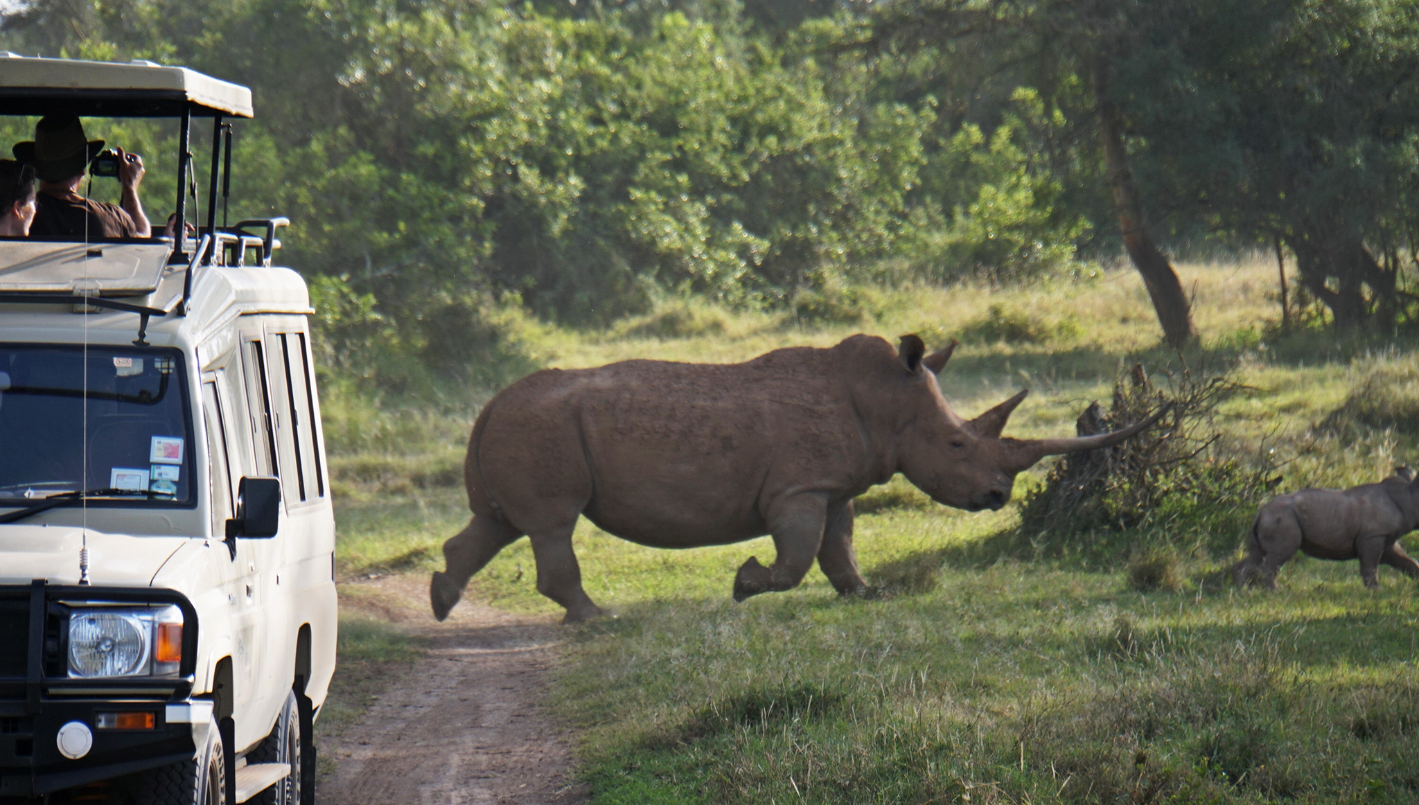 Solio Game Reserve Safaris & Travel Guide