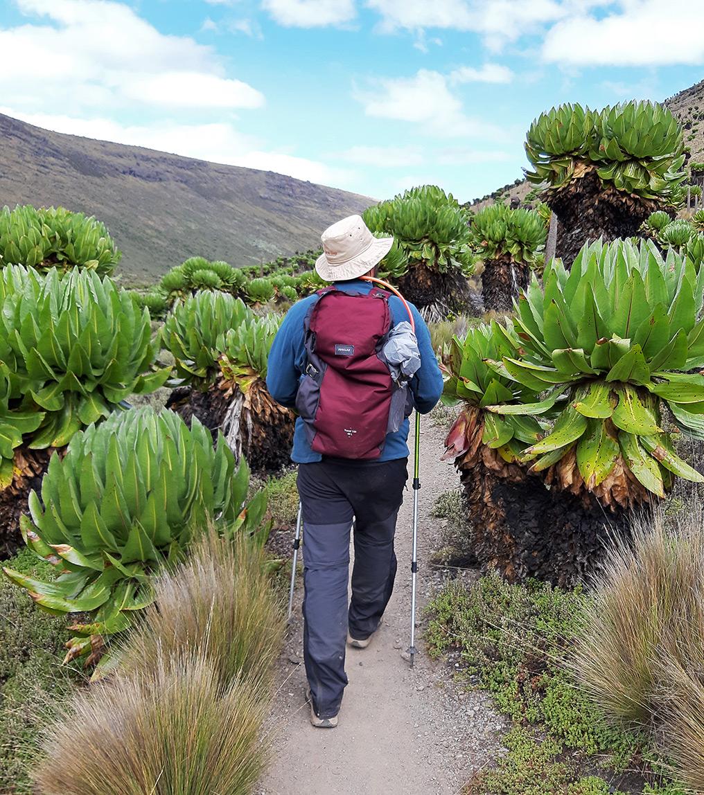 Mount Kenya National Park Safaris & Travel Guide