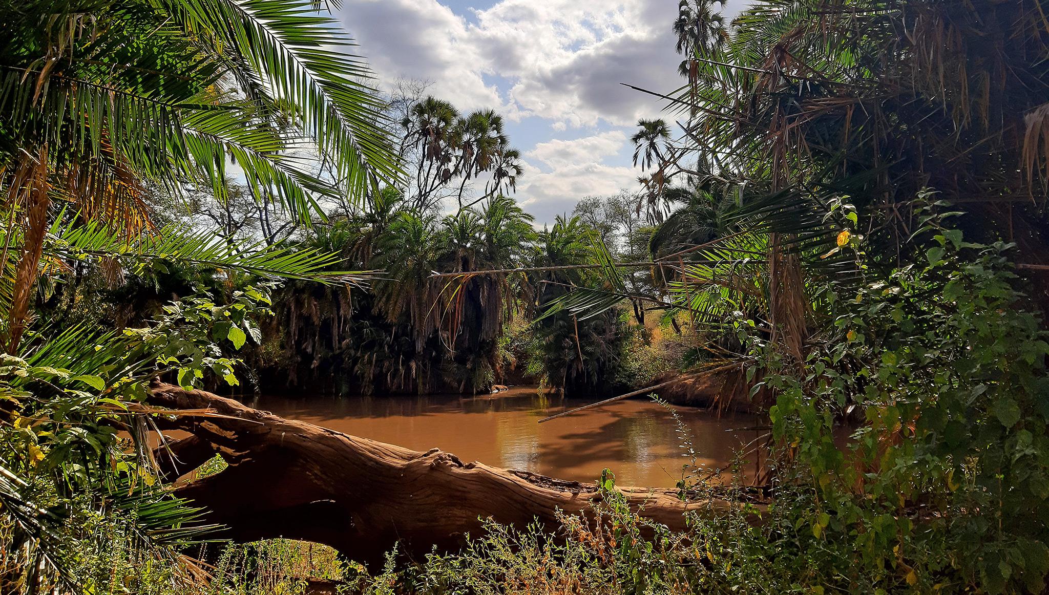 Meru National Park Safaris & Travel Guide | Kenya-Experience