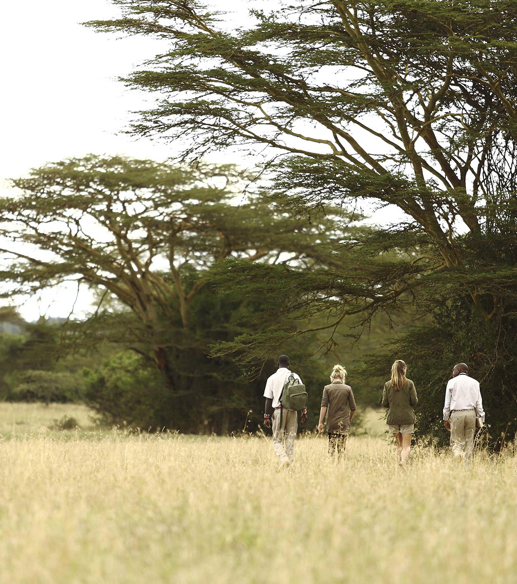 Solio Game Reserve Safaris & Travel Guide
