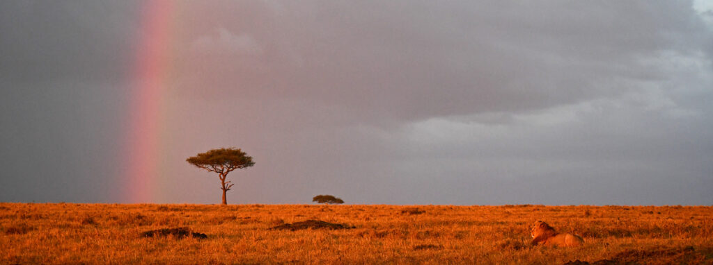 Kenya Weather By Month, Seasons, Climate & More