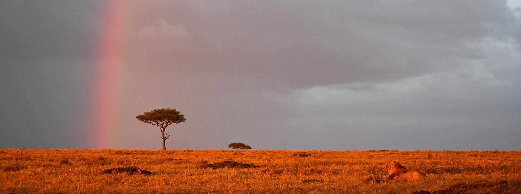 Kenya Weather By Month, Seasons, Climate & More