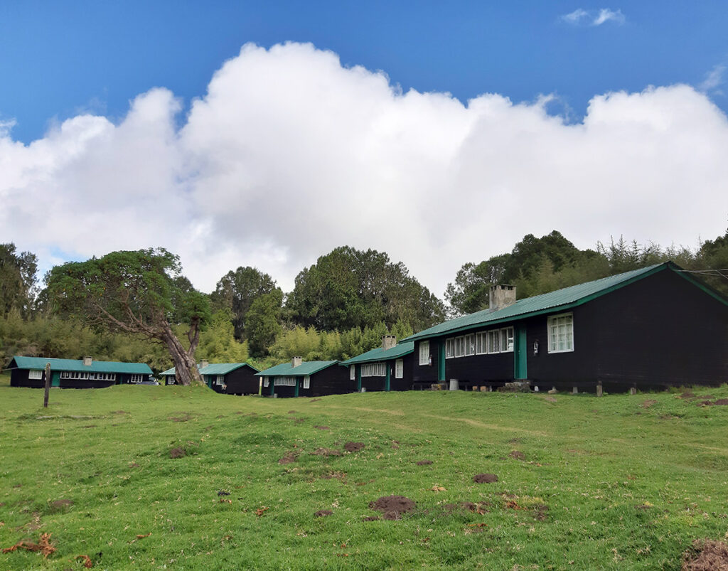 Mount Kenya National Park Safaris & Travel Guide