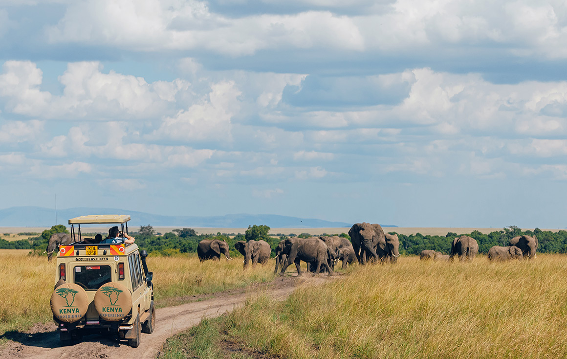 Money, Budgeting & Tipping Guide | Cost of Travel in Kenya