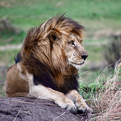 Kenya Weather By Month, Seasons, Climate & More