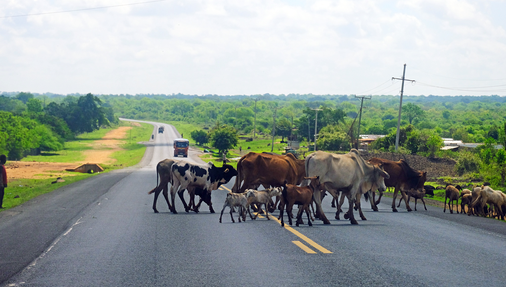 How to Travel to Kenya: Visas, Flights and Airports
