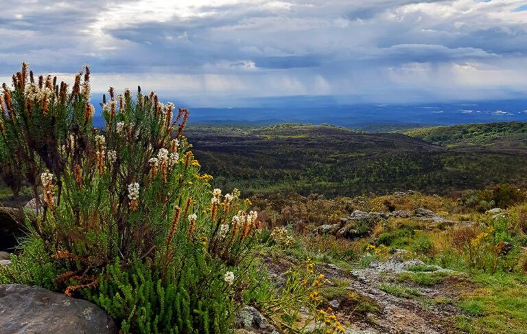 Kenya Weather By Month, Seasons, Climate & More